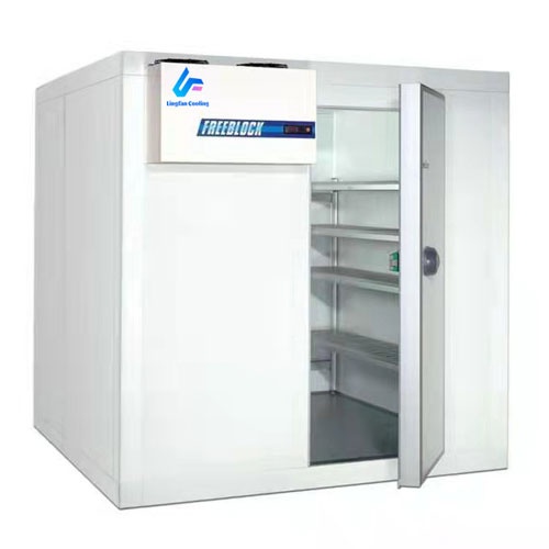 cold room Frozen Meat Walk in Freezer Cold Storage Room for Fruits ...