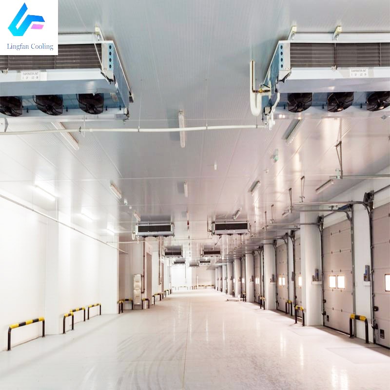 CE FM Coldroom Cold Room for Freezer Meat Seafood Vegetable Fruits