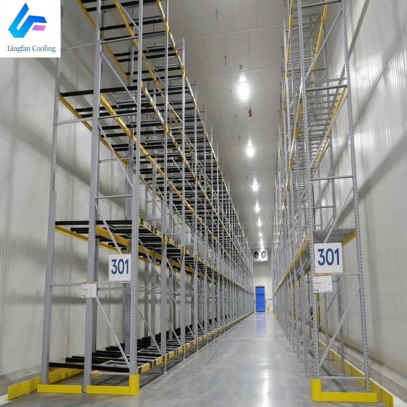 CE FM Coldroom Cold Room for Freezer Meat Seafood Vegetable Fruits
