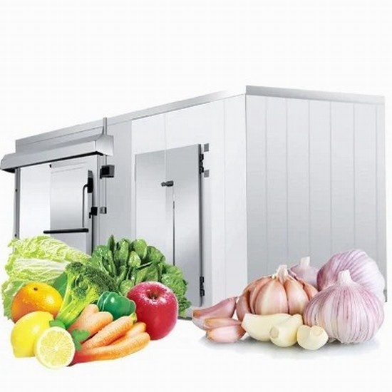 20‘GP FT Vegetable Fruit Customized Cold Storage Room Refrigerator