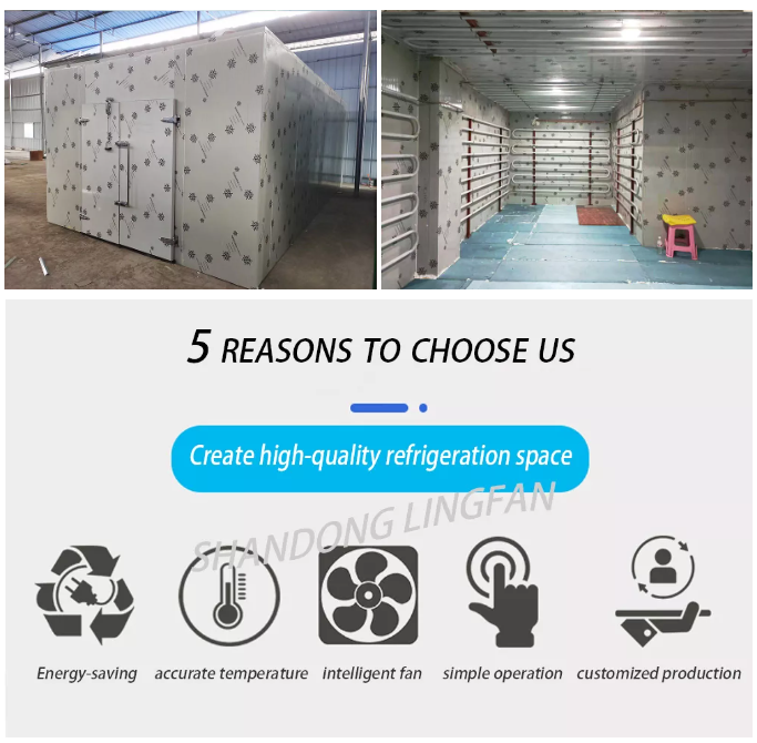 Mobile Container Best Solar Power Cold Storage Room for Fish Meat ...