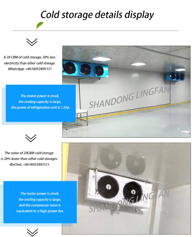 Mobile Container Best Solar Power Cold Storage Room for Fish Meat ...